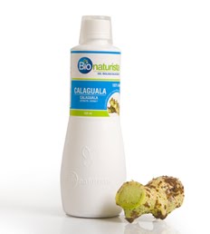Bionaturista: PROPIEDADES DE LA CALAGUALA