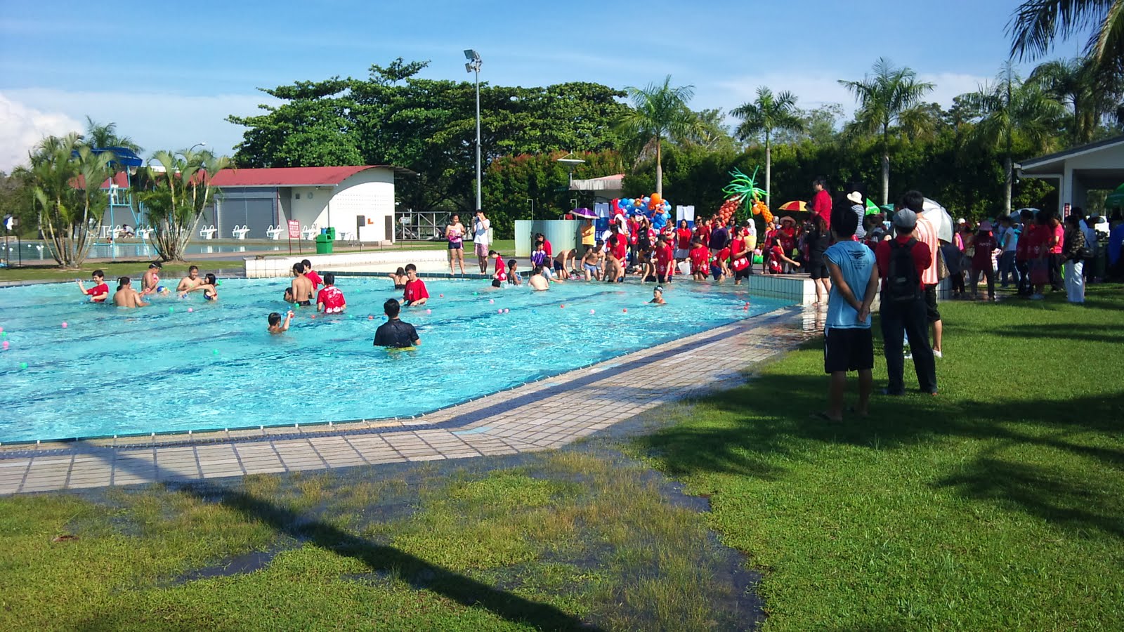 Balloon decorations for weddings, birthday parties, balloon sculptures ...