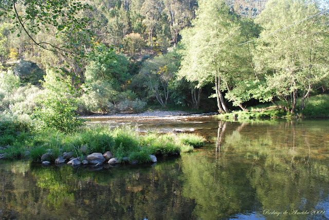 VisuNatura: Espiunca - Concelho de Arouca - Distrito de Aveiro - Portugal