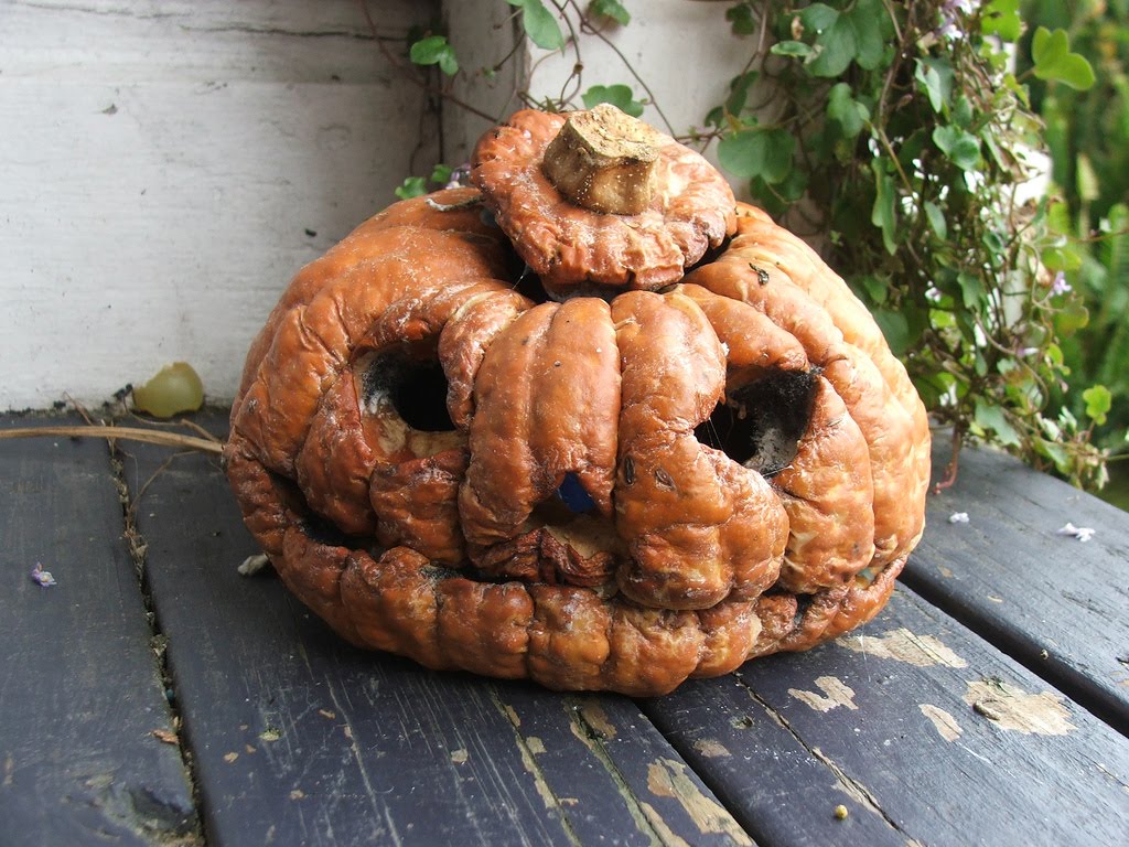 PUMPKINROT.COM: The Blog: April 2010