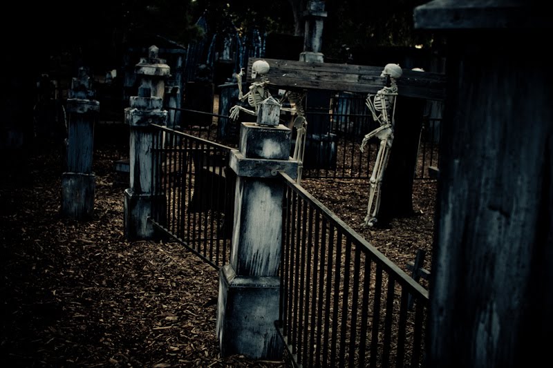 PUMPKINROT.COM: The Blog: The Haunted Trail