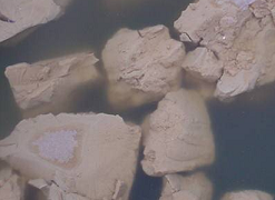 WasteWater System: What Causes Bulking Sludge Problem