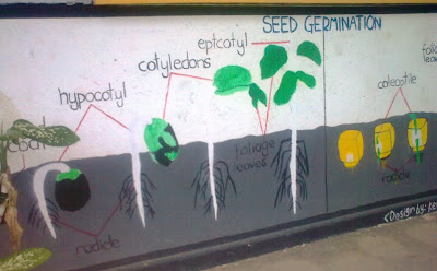 SUATU PEMERHATIAN, SEBUAH CATATAN: MURAL SAINS