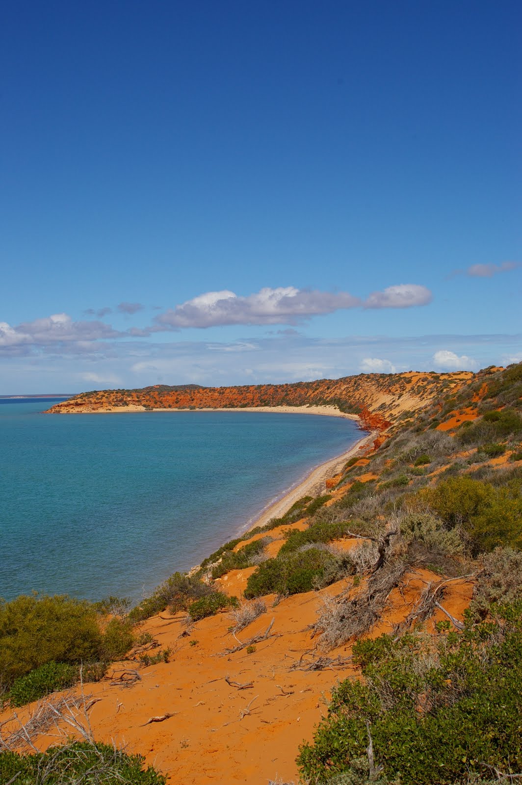 menopausal mumma: Colours of Western Australia - Shark Bay World ...