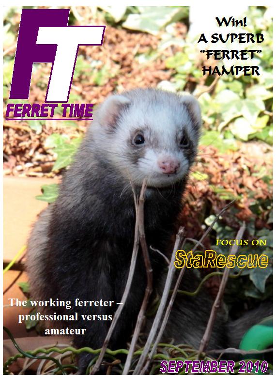 Ferret Obsession