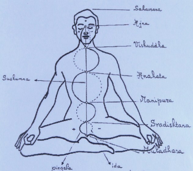 YOGA E COMPANHIA: Nadis