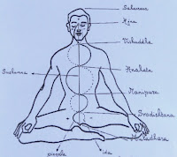 YOGA E COMPANHIA: Nadis