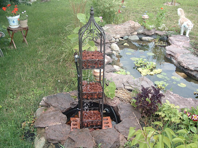 .: An Attractive Trickle Tower Filter for Pond - with some small problems