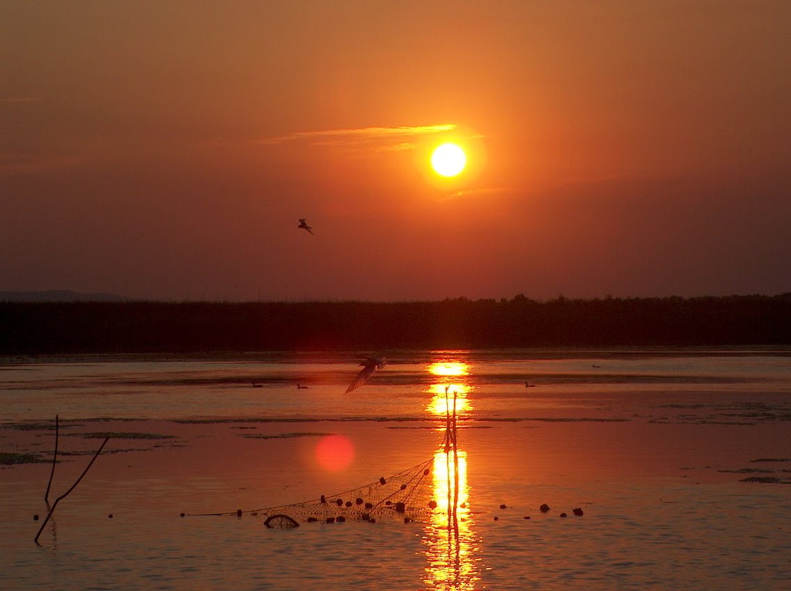 Delta Dunarii | Galerii foto si lucruri de aflat