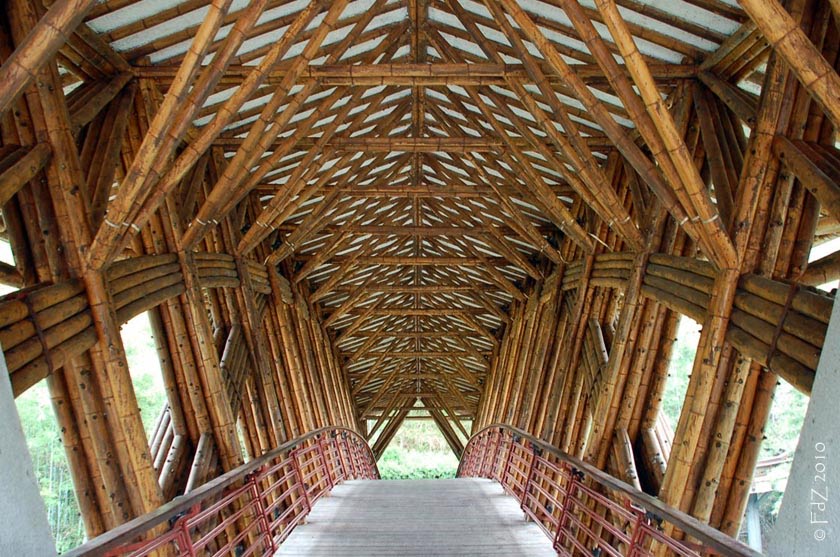 View thru My Global Lens: Bamboo Bridge