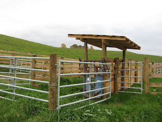4R Ranch: Working Pens