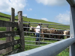 4R Ranch: Working Pens