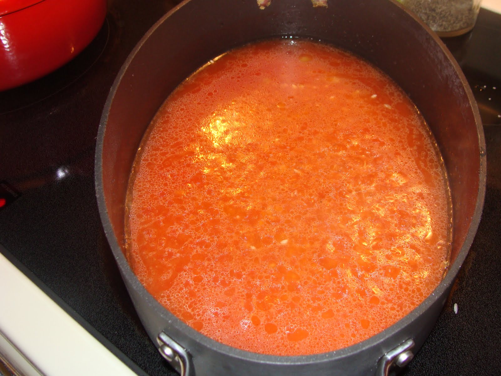 Spanish Rice Tutorial (she: Lil' Luna) - Or so she says...