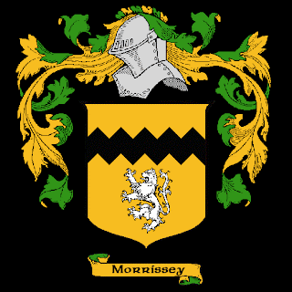 The O'Toole Family Line: The Eldest Child of John Toole and Catherine ...