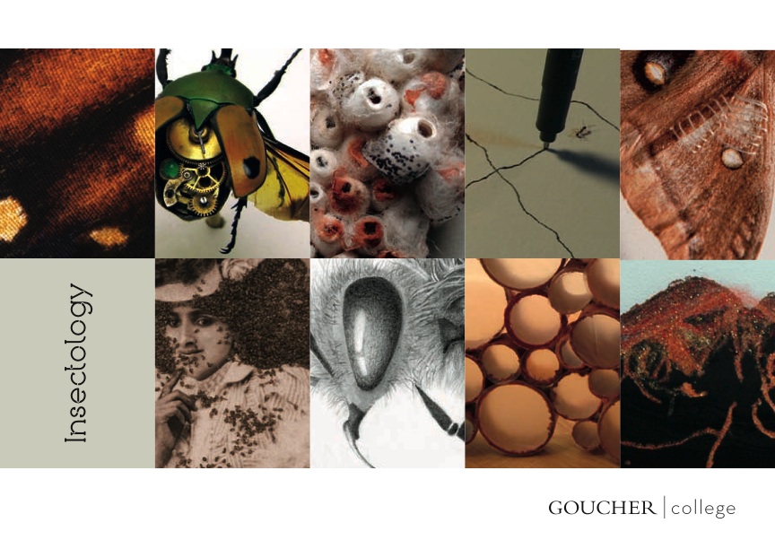 Insectology at Goucher College on Thursday, February 10 - BmoreArt