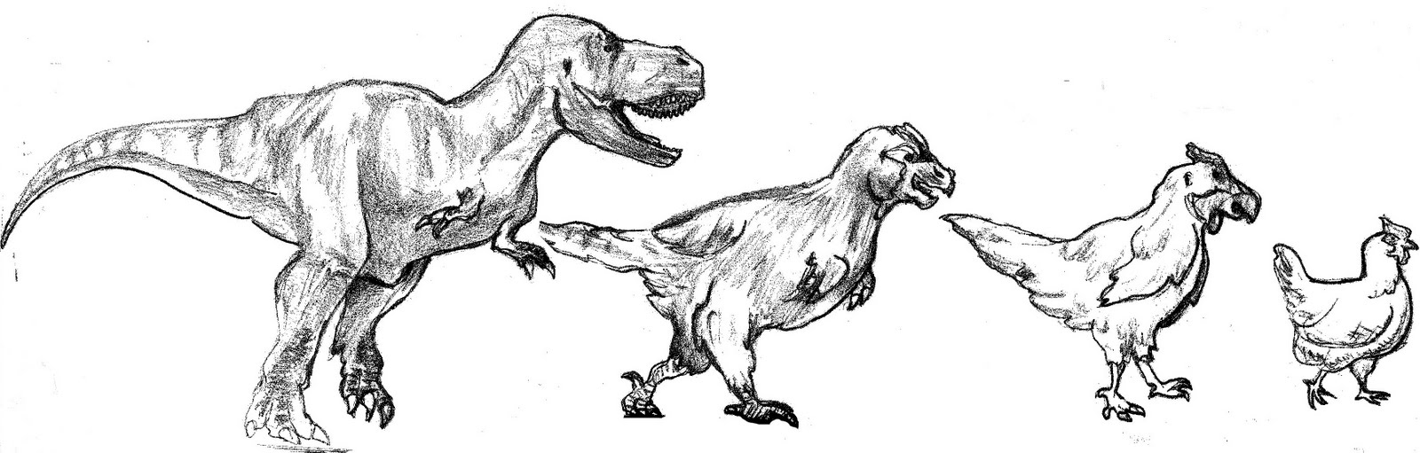 Steven L Anderson: Evolution Art Contest