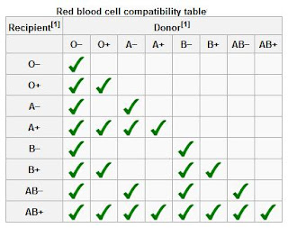 TL's Journey of Life (Chapter one): Facts: Blood Type