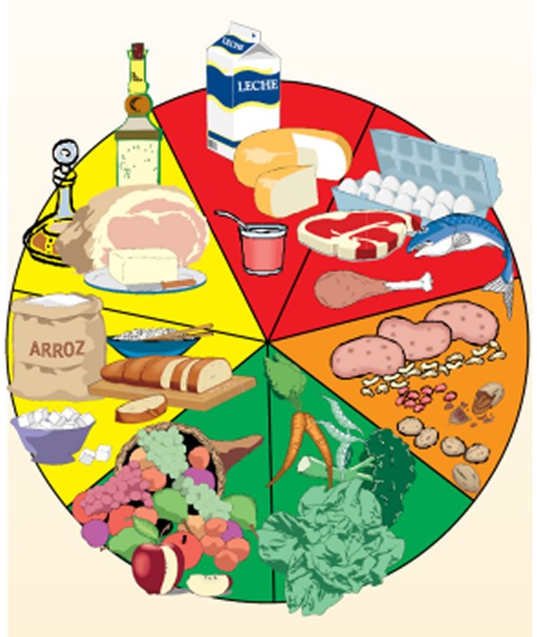 Nutricion: Rueda de los alimentos