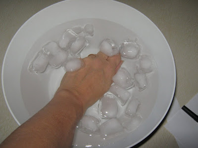 Maggie's Farm: Online Lab Muscle Function