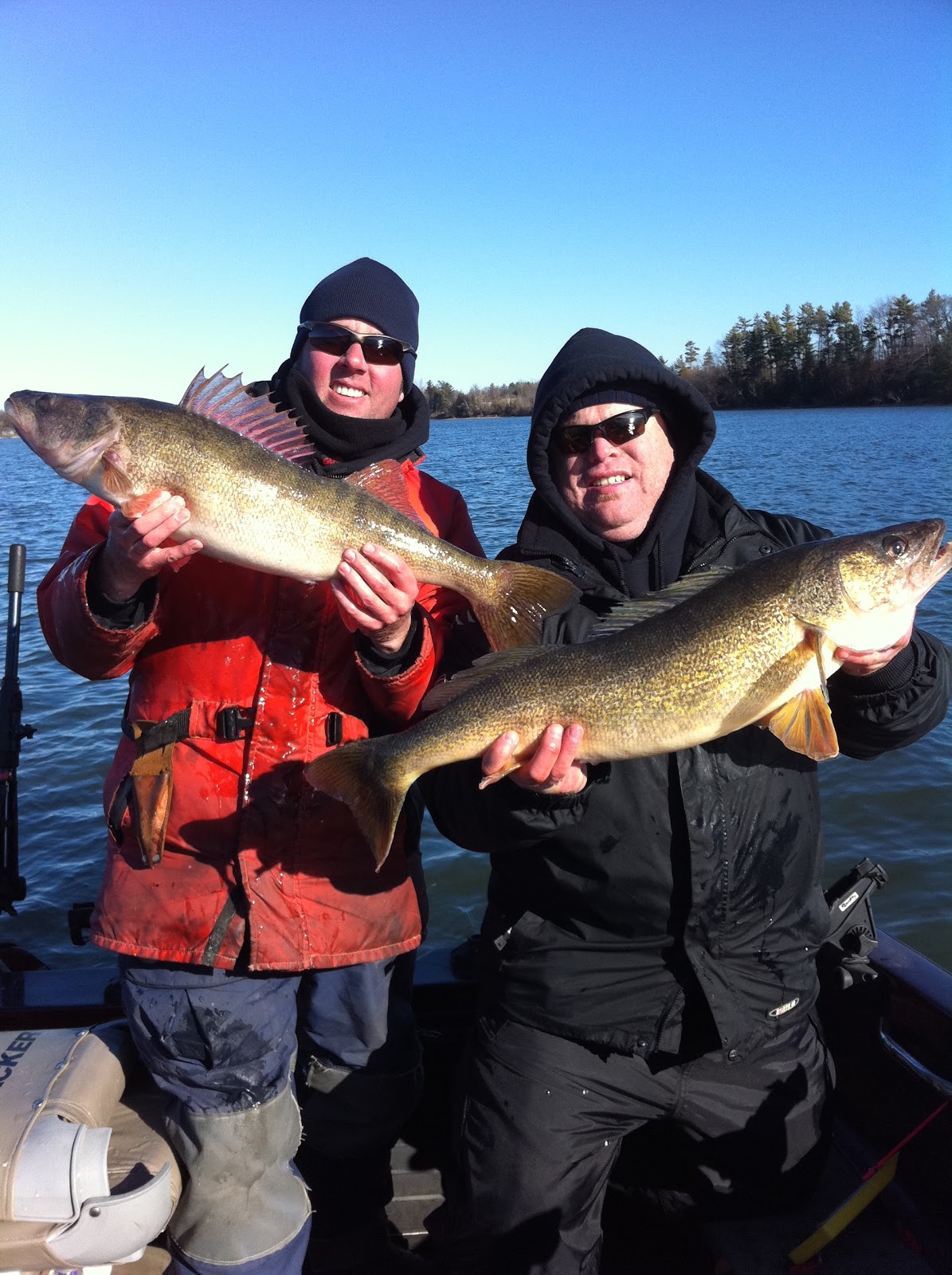 Hooked Guide Services: Bay of Quinte Monster Walleye fishing in the Fall!