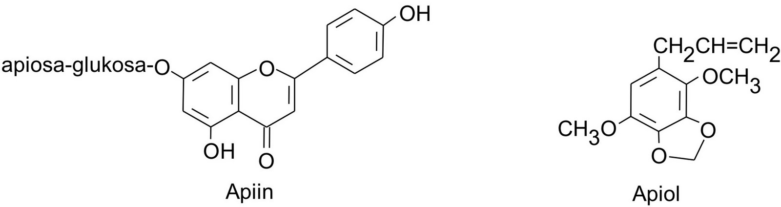 Tanaman seledri: kandungan kimia