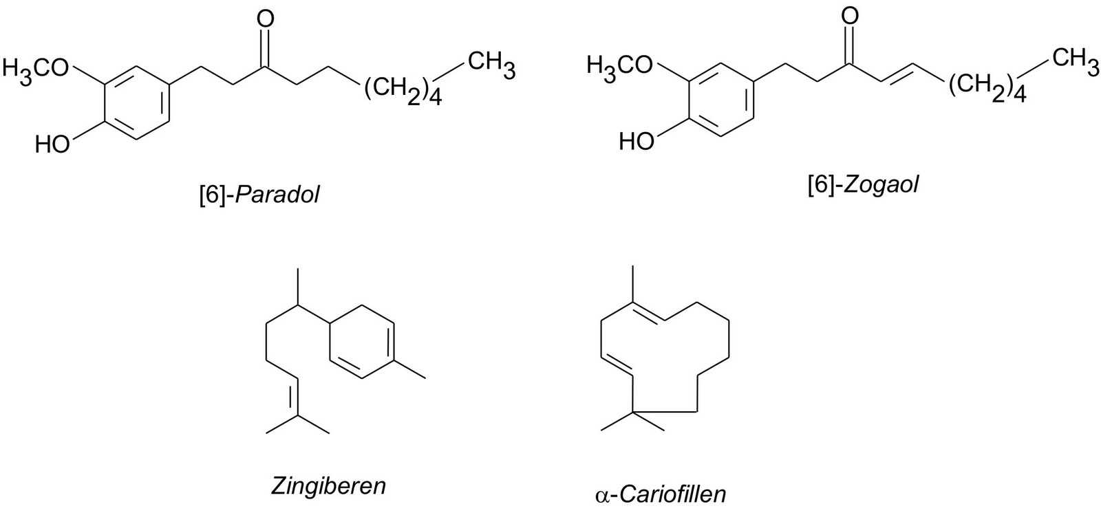 Jahe (Zingiber officinale Roxb.) ~ Lansida