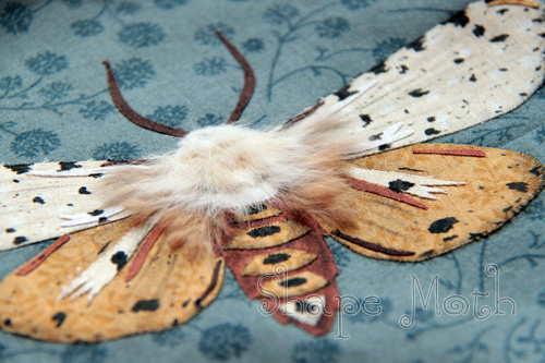 Shape Moth: Moth applique and some changes...