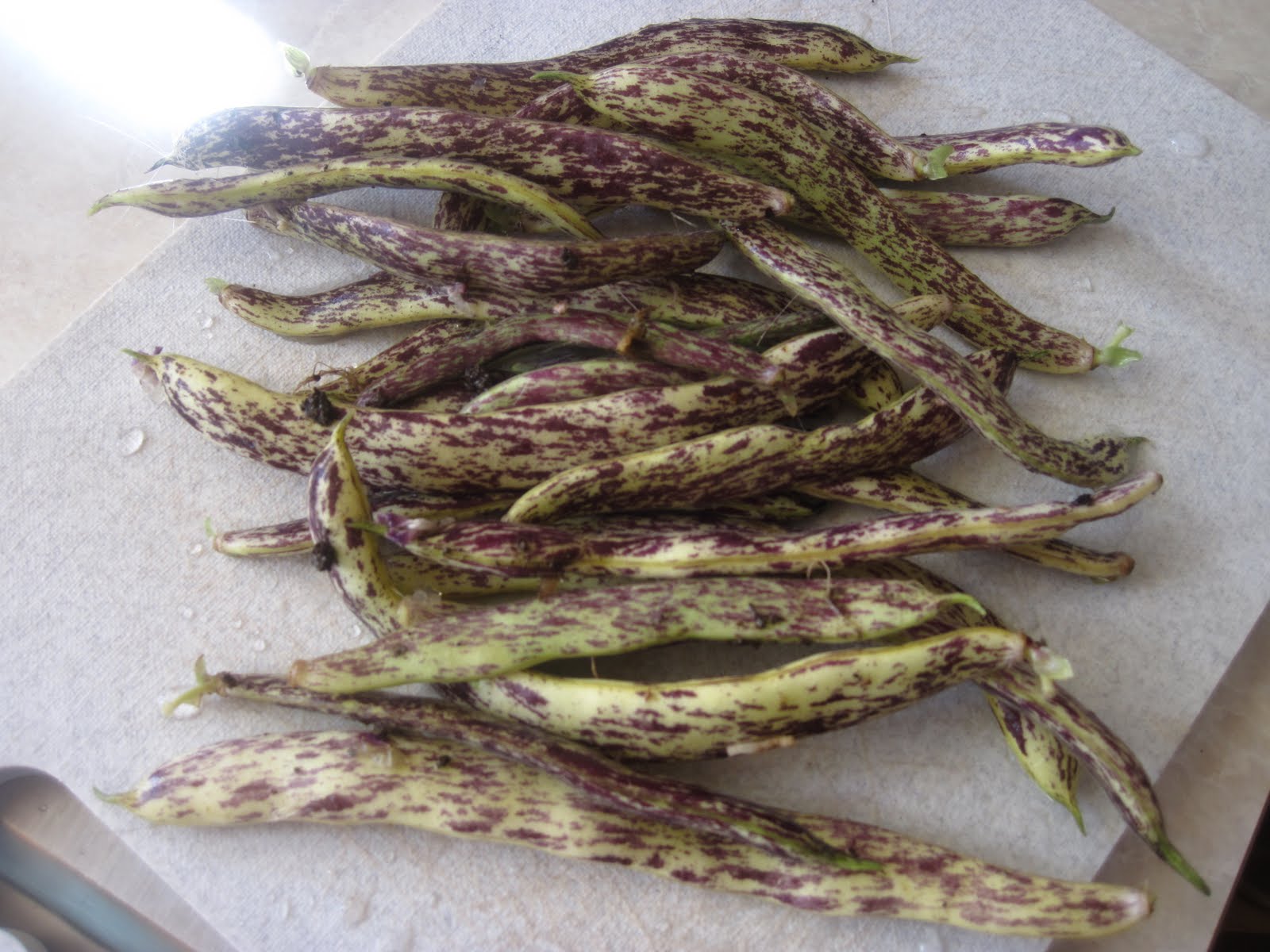 Soup to Nuts Almanac: Garden Updates