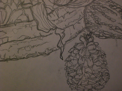 Eric's Art Page: Natural Objects Contour Line - College