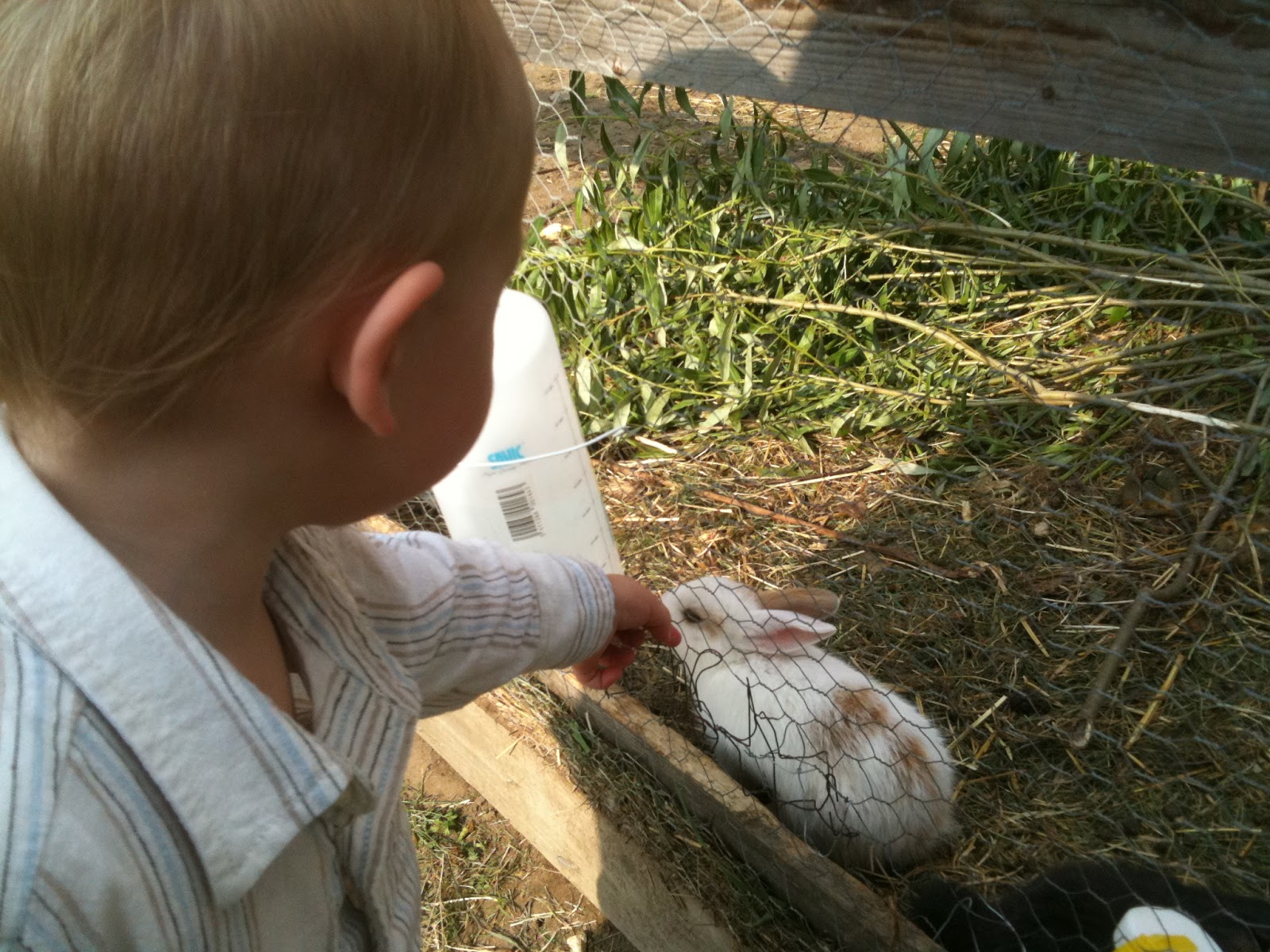 1000 Awesome Things To Do With Your Kid: #14 Feeding Animals