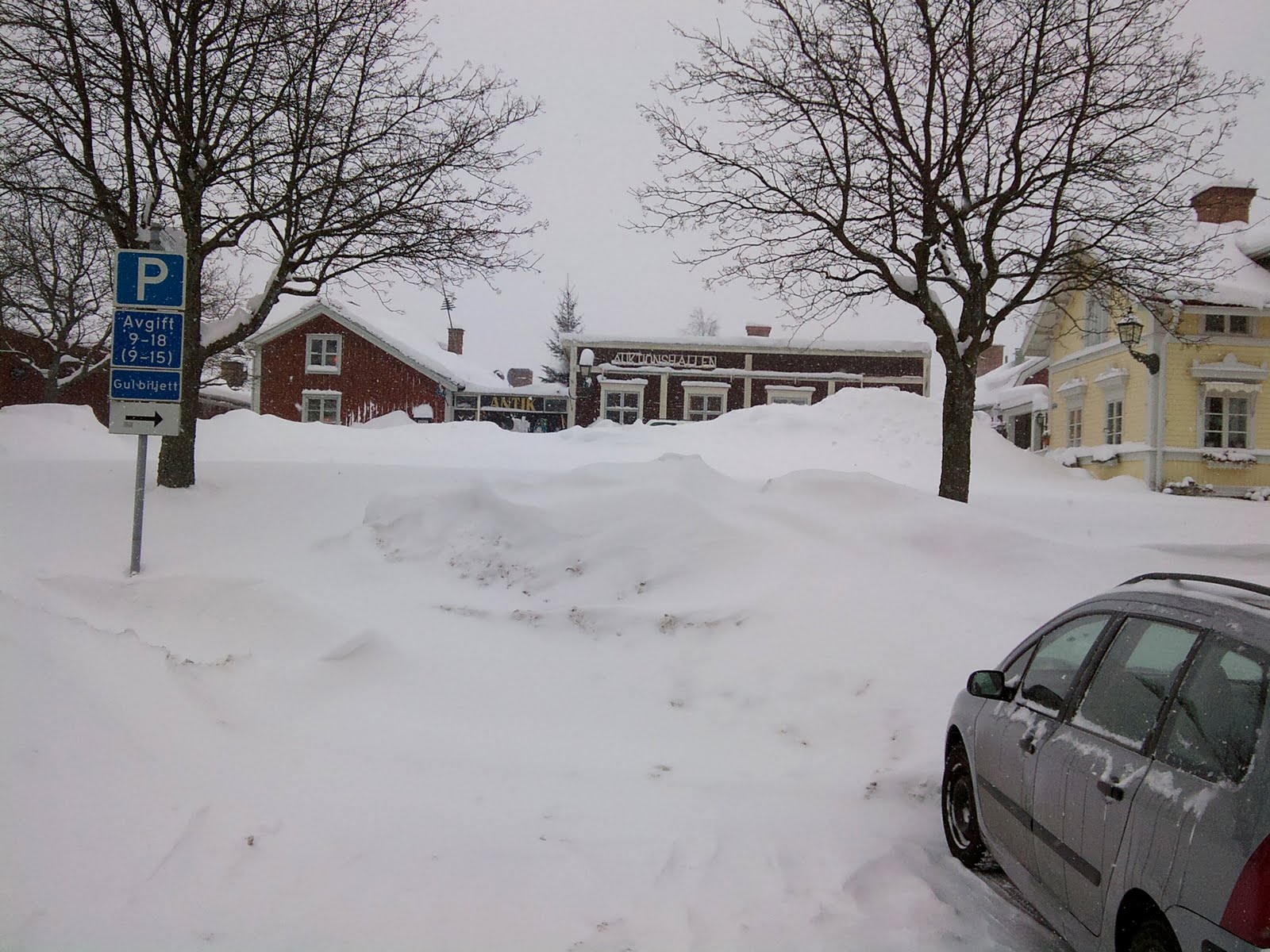 FORSGREN John Erik & Descendants: A "FINBUL WINTER" AT THE FORSGREN ...