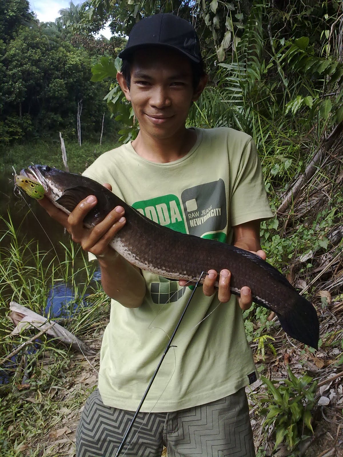 .: Trip haruan bersaiz BAGAK....