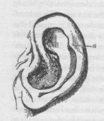 KEEPER OF THE SNAILS: Ear Stories.