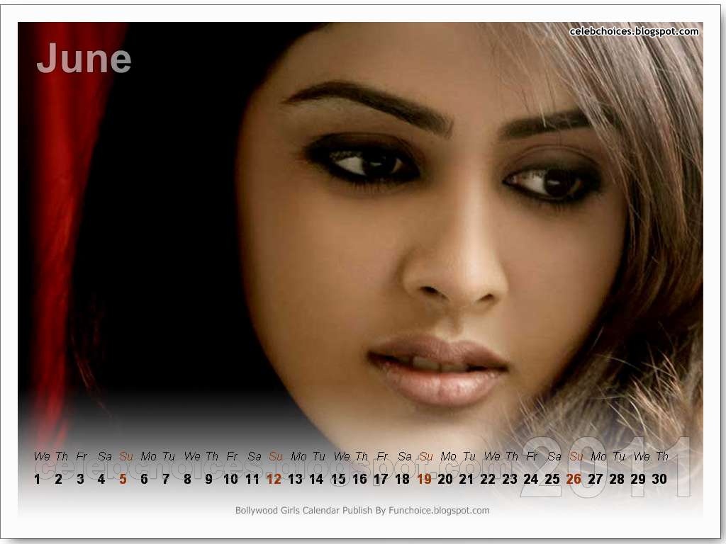 Celebrities Collection: Bollywood Beauties Calendar 2011 | Girls ...