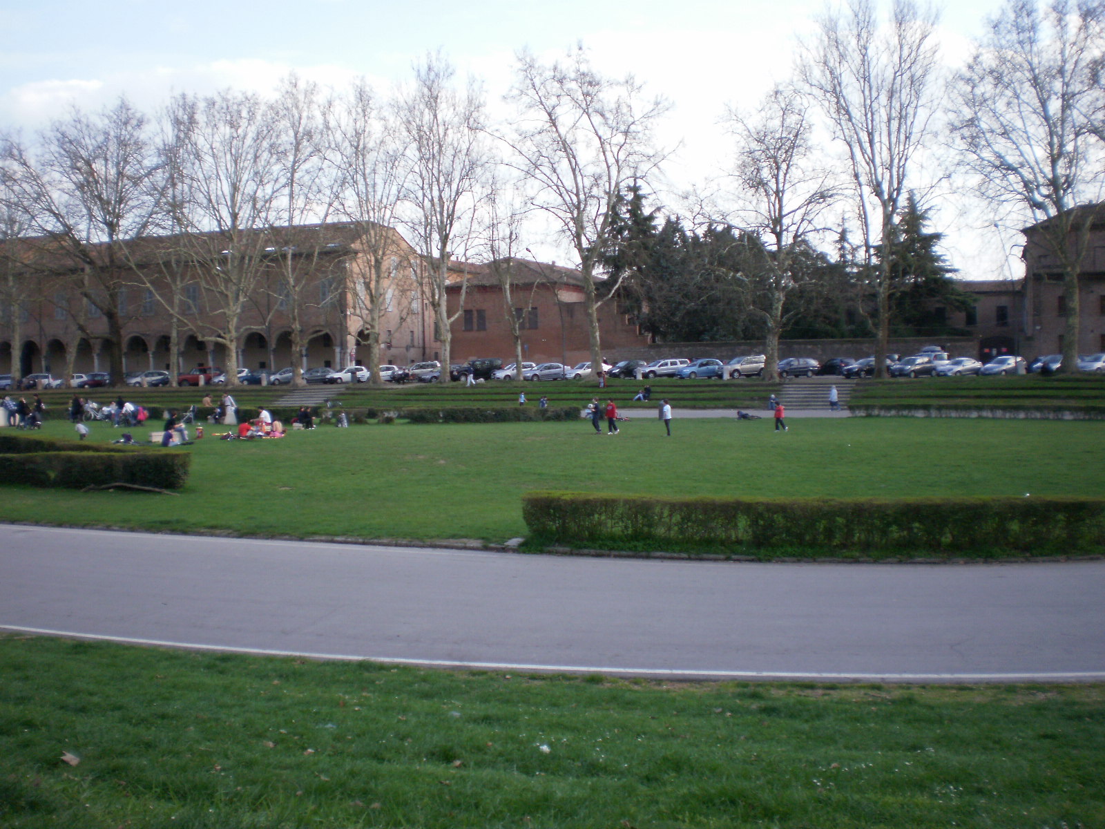 Ferrara da scoprire: Piazza Ariostea in fiore