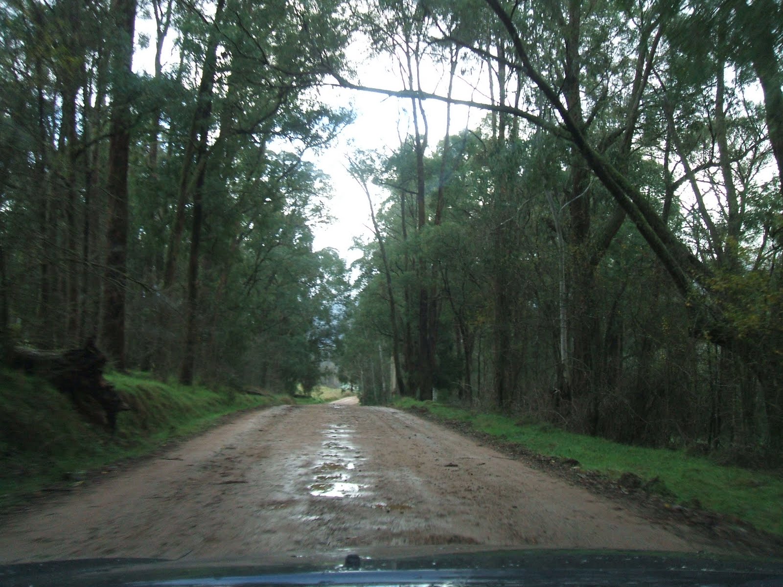 sezza still rambles: Camping Adventures on the Buckland River (yay!)