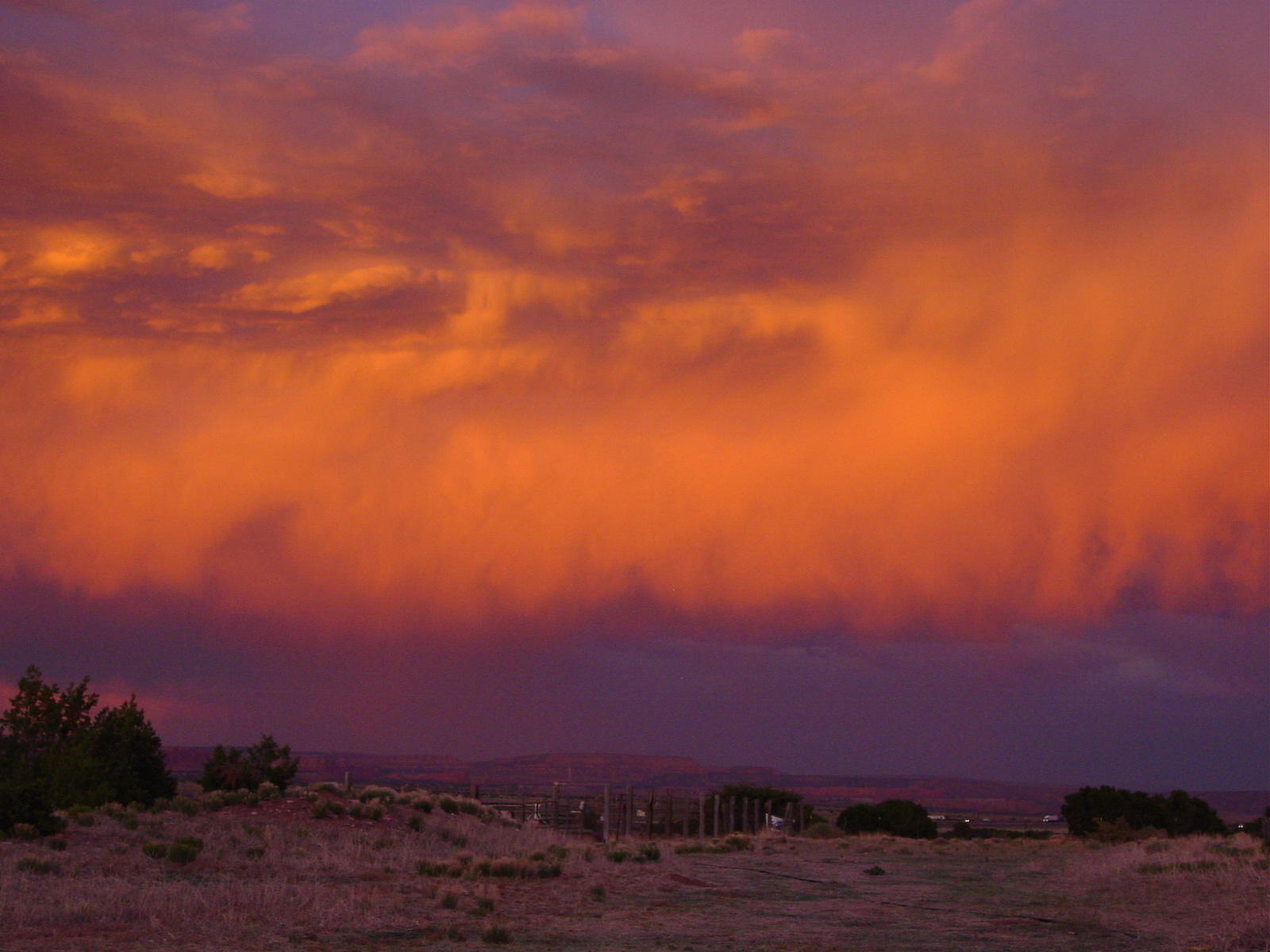 Bluewater Rangerbreds: New Mexico Sunsets