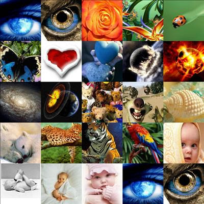 Theme Styles: March 2009