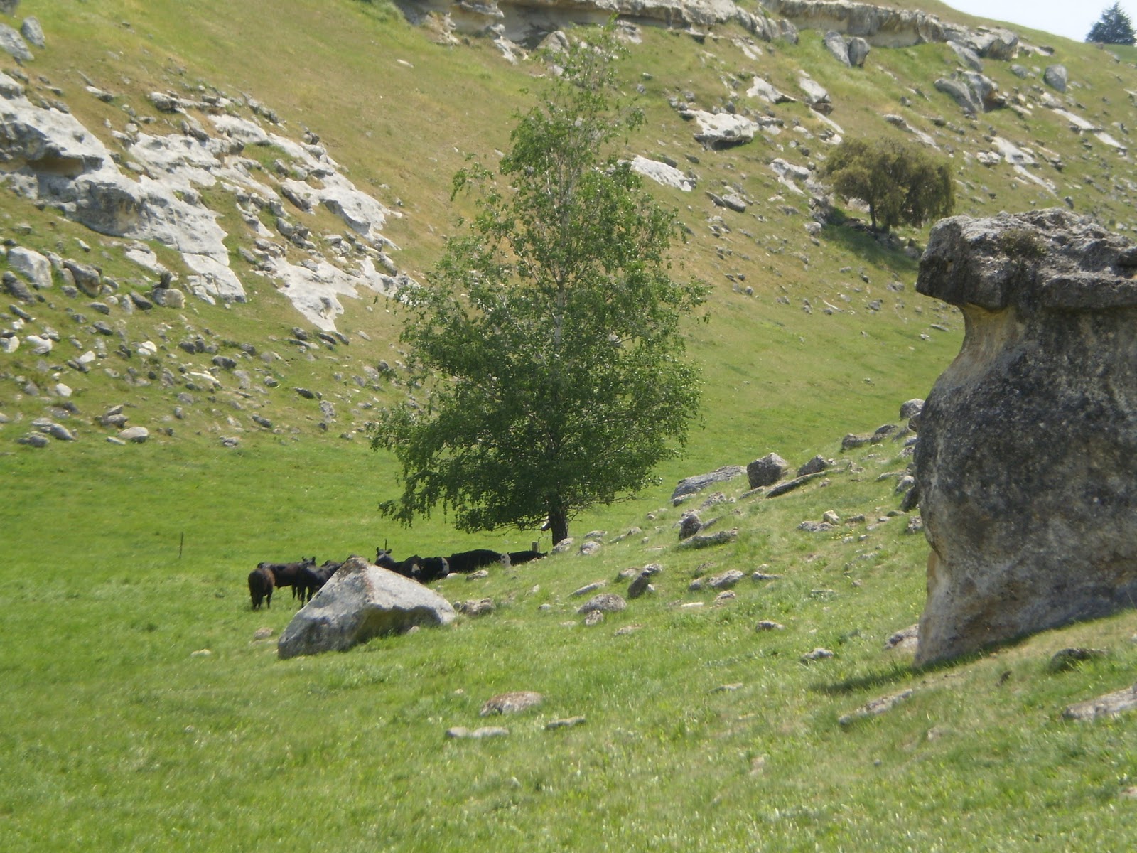 Richard and Christine's Amazing Journeys: Narnia and Elephant rocks