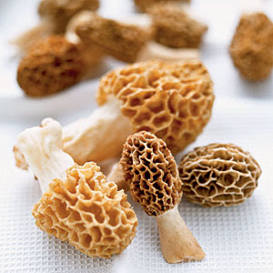 Lindaraxa: Chicken Fricassee With Morels And Vin Jaune