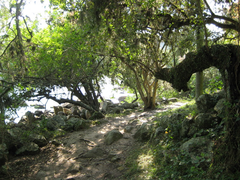 De Bike pela Ilha: Sambaqui E