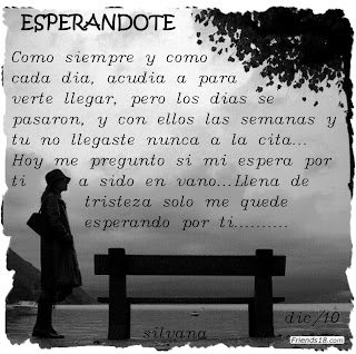 lagrimas del corazon: Esperandote.