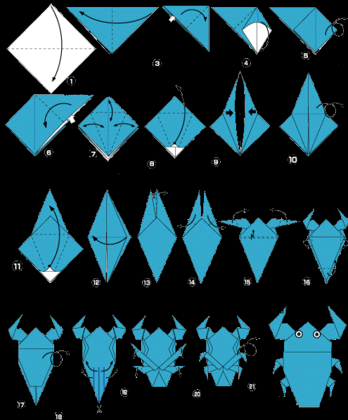 origami giant water bug ~ origami for kids instructions