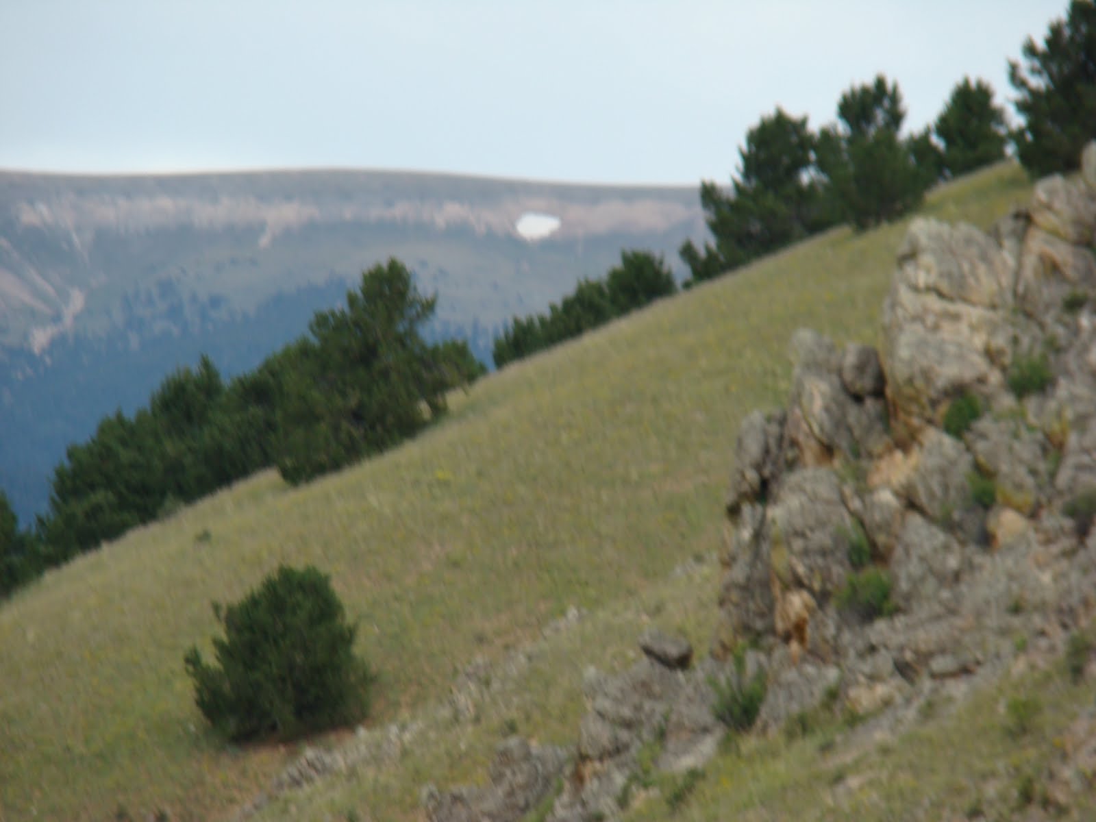 Travel with Us: Costilla Trip - Rio Costilla and the Valle Vidal