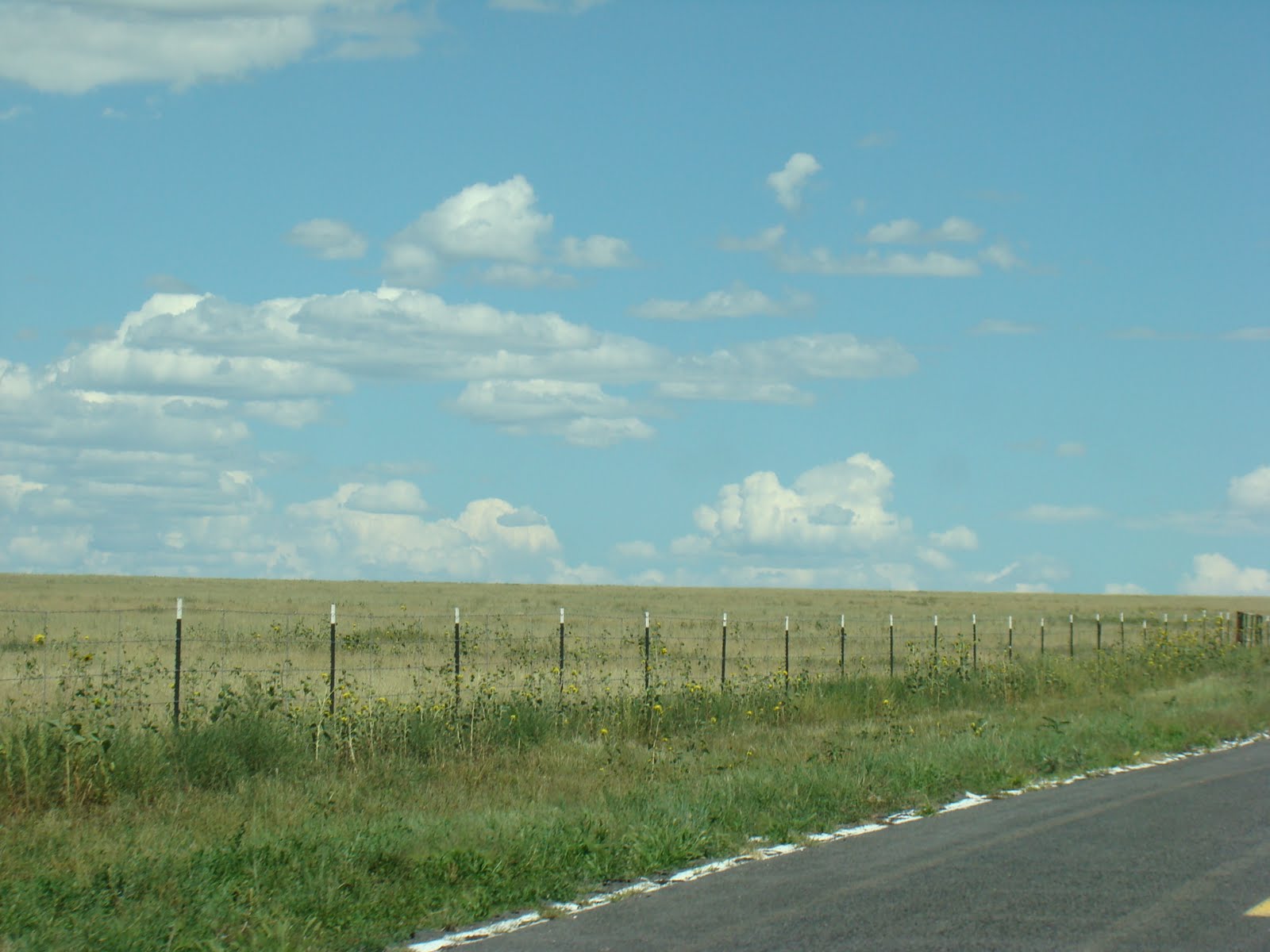 Travel with Us: Yet Another CIrcular Tour