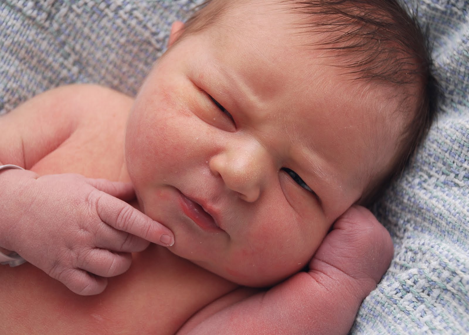 Dave & Stephanie Collard: Dexter Scott Collard