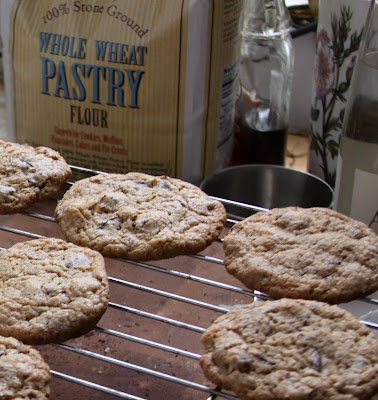 Seattle Pastry Girl: Chocolate Chip Cookies and The Oregon Coast