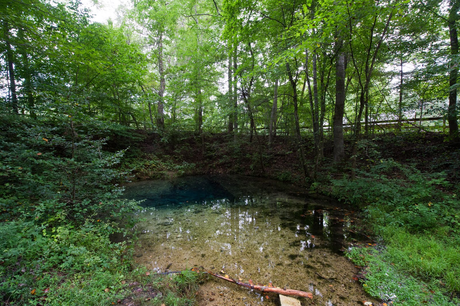 Tony's Blog: Blue Hole at Red Clay State Park