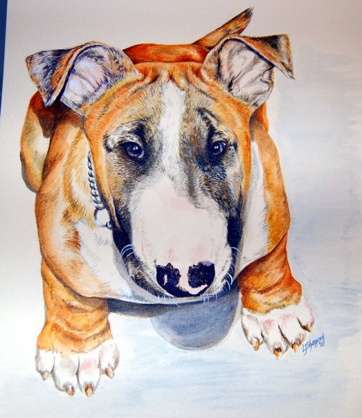 Calypso's Mini Bull Arts: Red Smut Bull Terrier Portrait