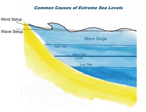 Venus Bay Observation Project: December 2008